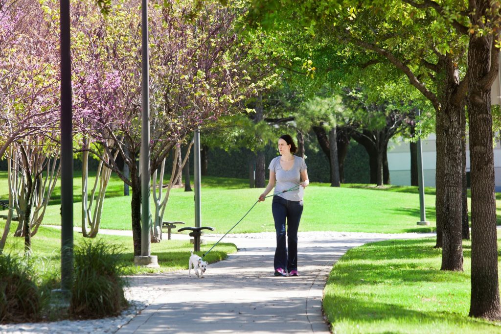 Uptown Parks - Uptown Houston